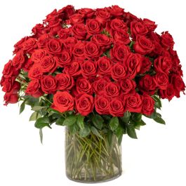 Stunning 100 Red Roses Arranged Beautifully - Flowermart Florist
