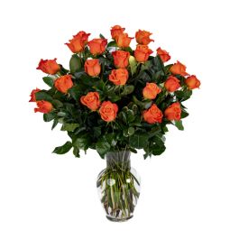 Two Dozen Orange Roses Arranged Beautifully - Flowermart Florist