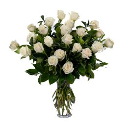 Two Dozen White Roses Arranged Beautifully - Flowermart Florist
