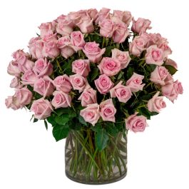 100 Stunning Soft Pink Roses Arranged Beautifully - Flowermart Florist
